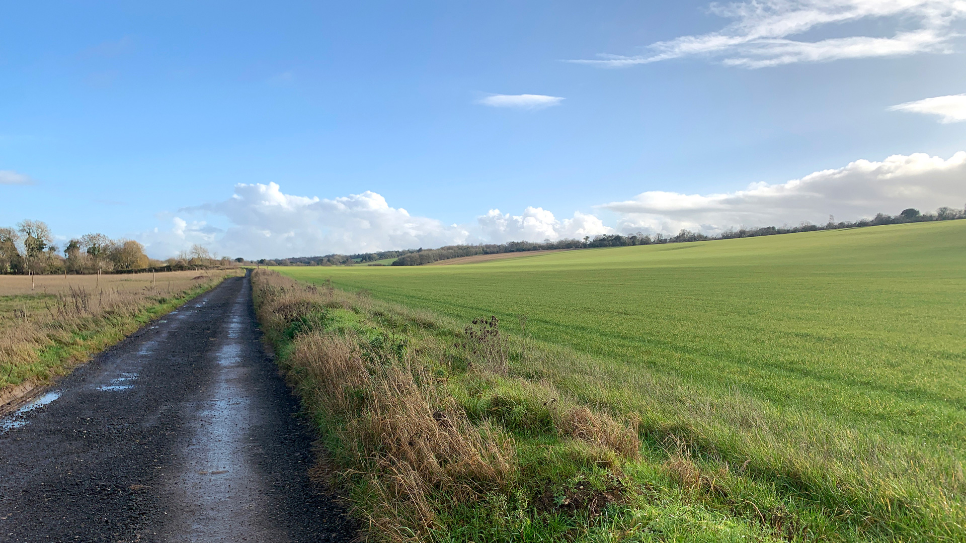 Land for sale in Wanborough, Guildford, Surrey Land for sale in Wanborough, Guildford, Surrey